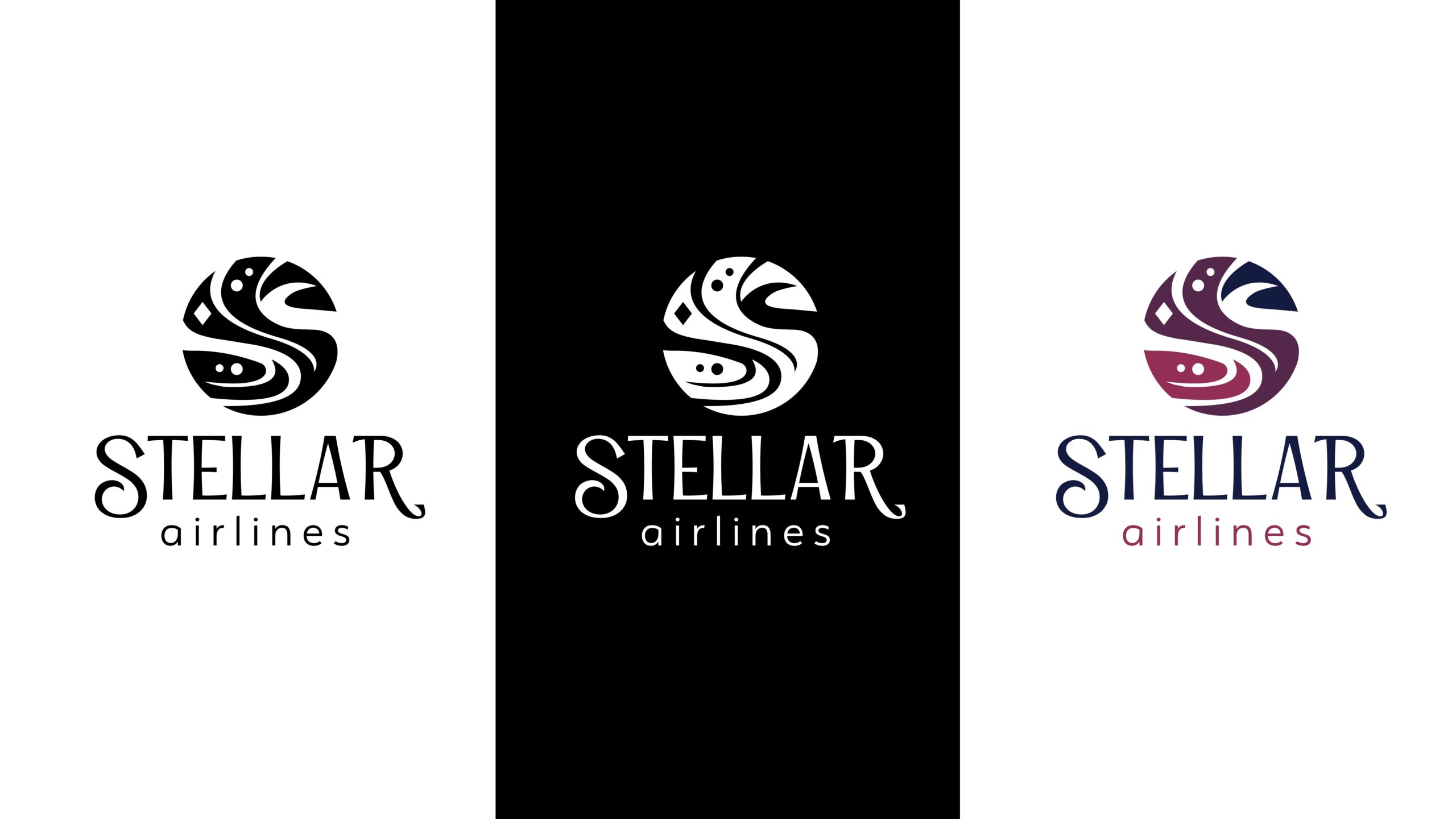 Stellar Airlines—California Baptist University | American Advertising ...